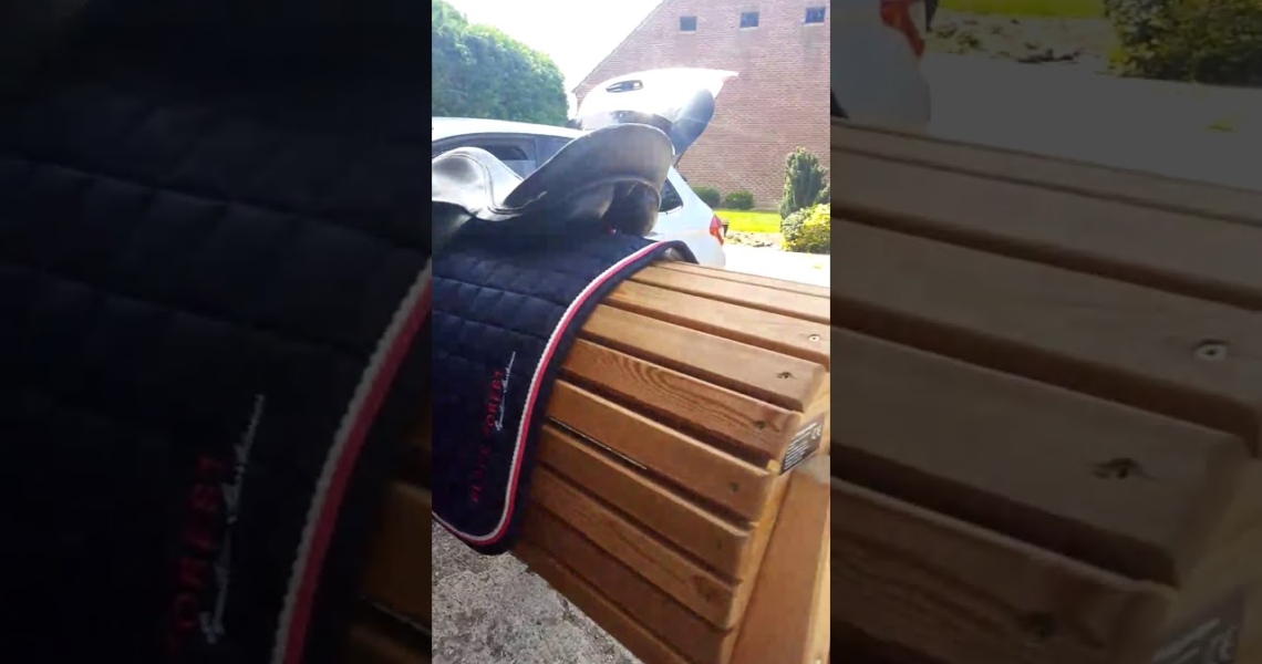 ᐅ Pferde richtig satteln - So sattelst du dein Pferd richtig