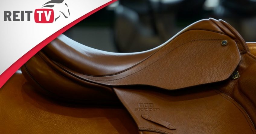 ᐅ Pferde richtig satteln - So sattelst du dein Pferd richtig