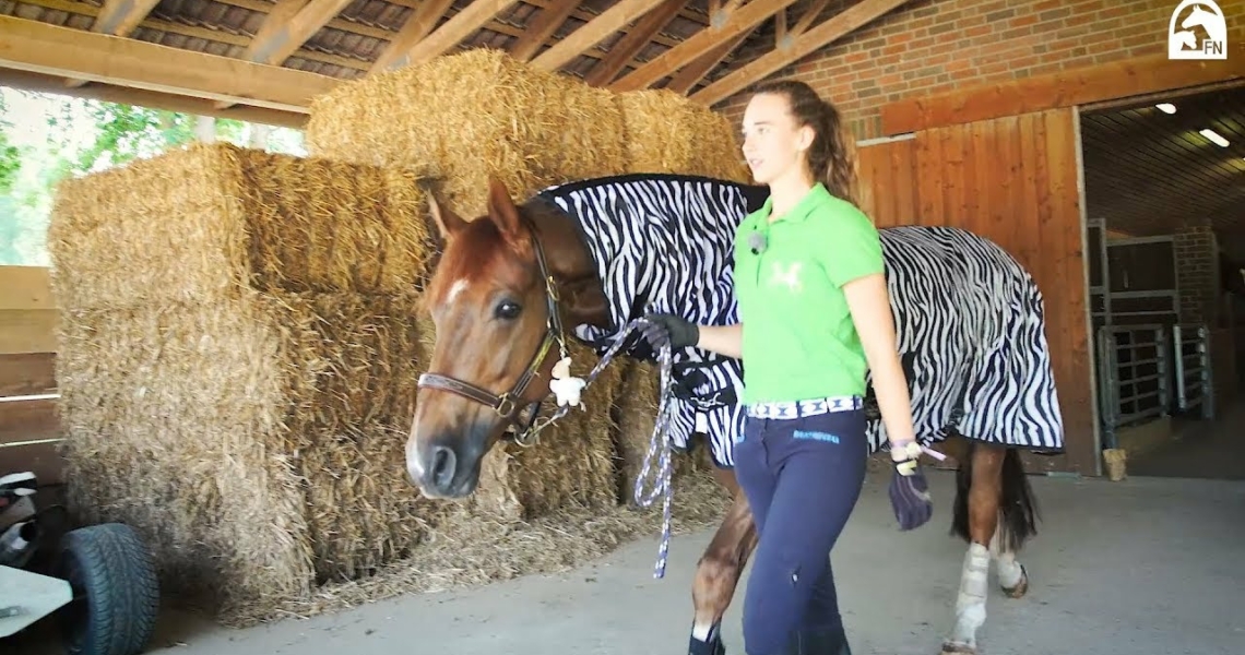 ᐅAuf dem Reiterhof | Dressur mit Pferd | Clarielle - ᐅMenü