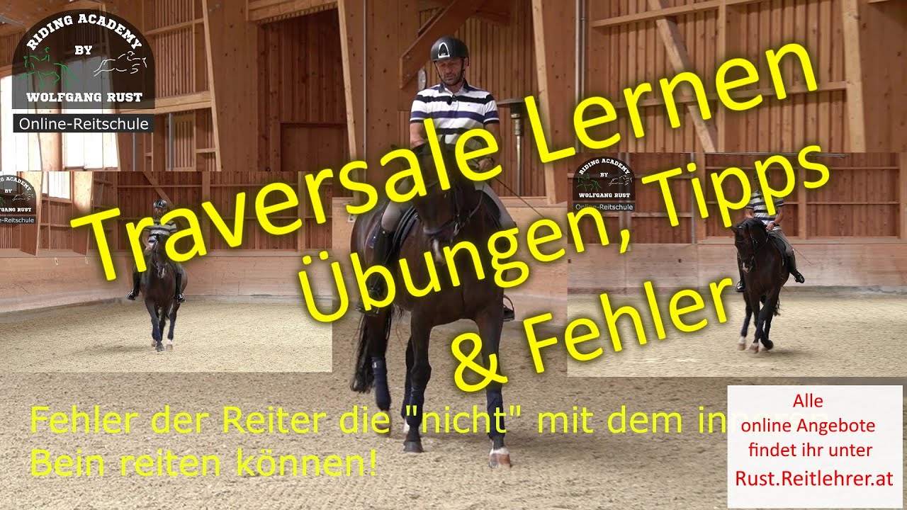 ᐅF116 Traversalen reiten und Pferde ausbilden Lernen! Übungen Tipps ...