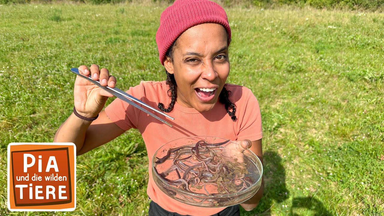 ᐅDer rätselhafte Regenwurm | Reportage für Kinder | Pia und die wilden Tiere - ᐅMenü